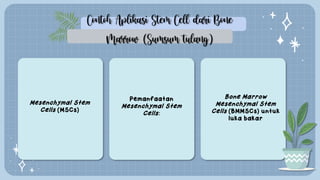 Aplikasi Klinis Stem Cell dari Bone Marrow_Kelompok 1.pptx