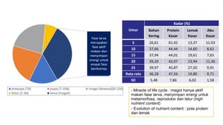 Aplikasi magot sebagai pakan merupakan materi pelatihan budidaya magot ...