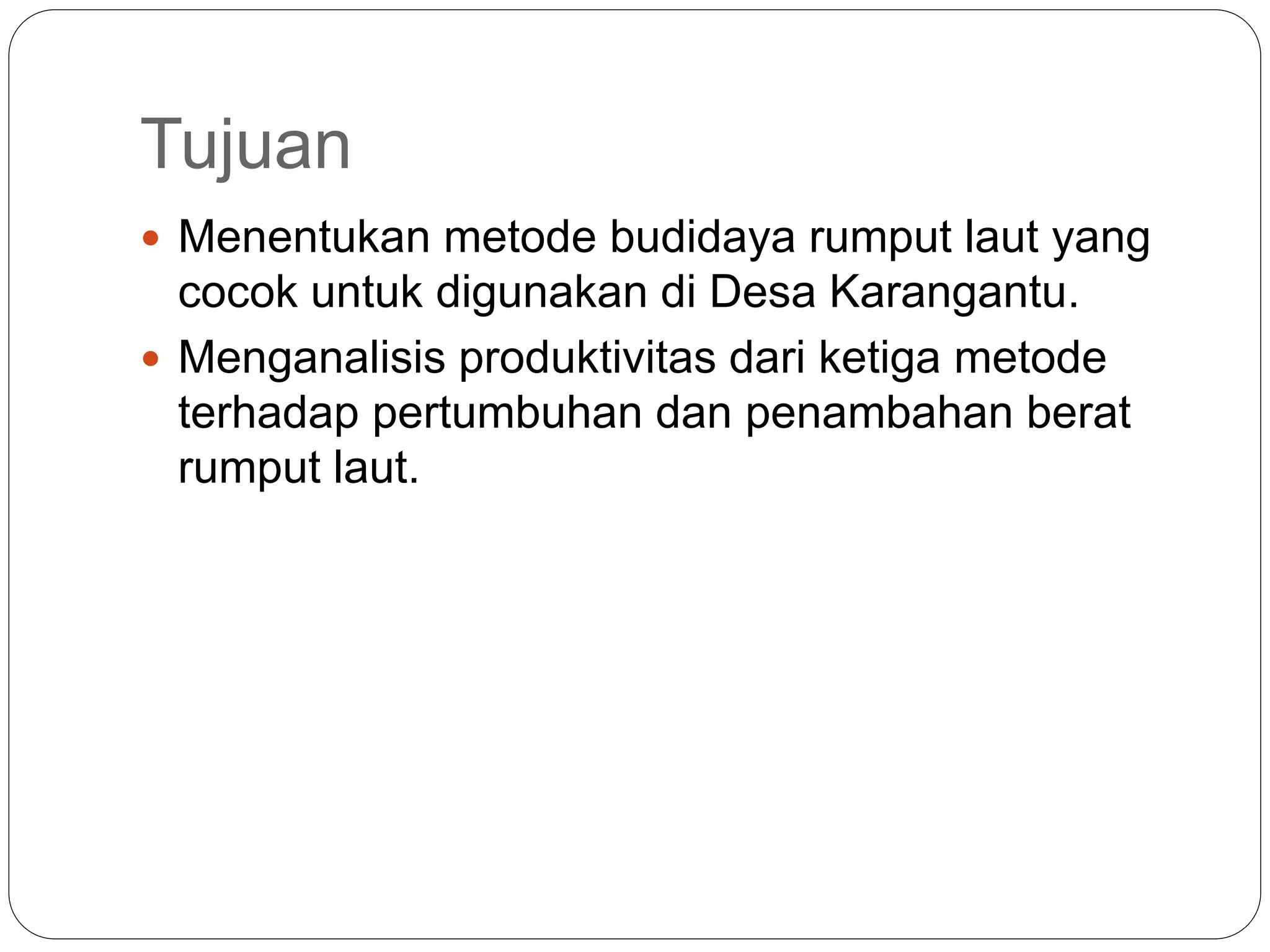 Aplikasi metode penanaman rumput laut kappaphycus alvarezii di | PPTX