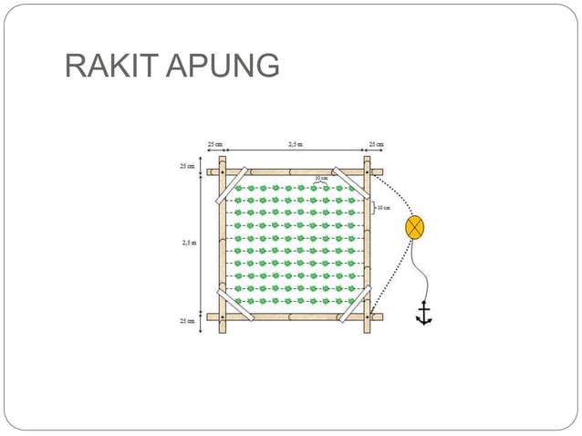 Aplikasi metode penanaman rumput laut kappaphycus alvarezii di | PPT