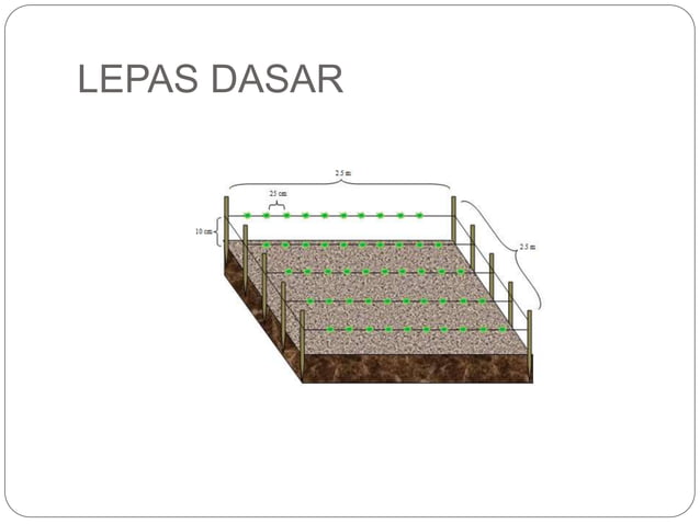 Aplikasi metode penanaman rumput laut kappaphycus alvarezii di | PPT