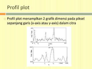 ppt Aplikasi pengolahan citra digital pada modalitas ct-scan | PPTX
