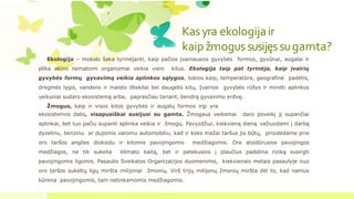 Aplinkosauga.pptx | Free Download