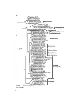 Aplosporella that cause Prunus, nicee.pdf