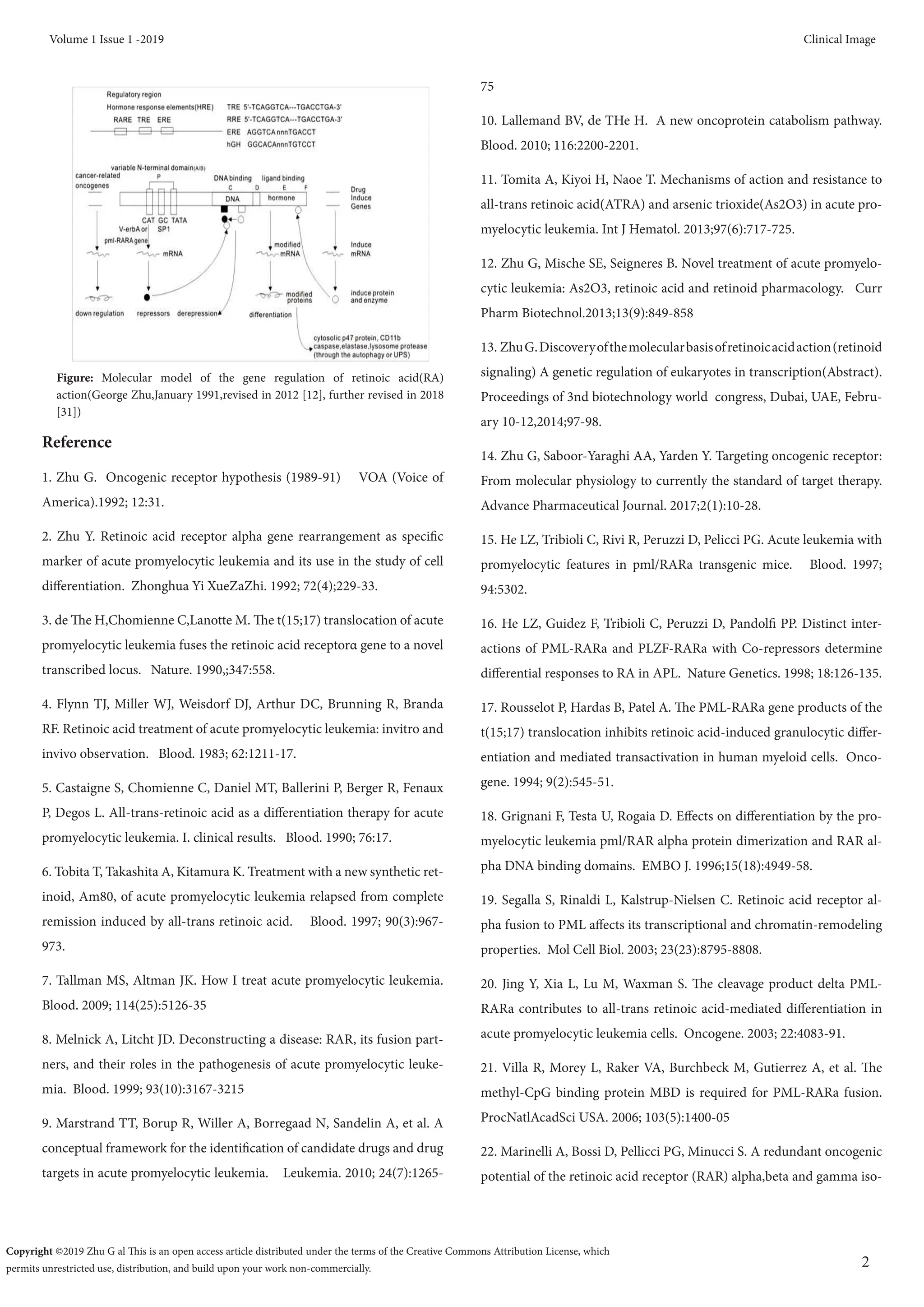 APL_Retinoic_Acid_and_Retinoid_Pharmacol.pdf