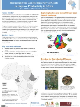 Harnessing the genetic diversity of goats to improve productivity in Africa | PDF | Genetics ...