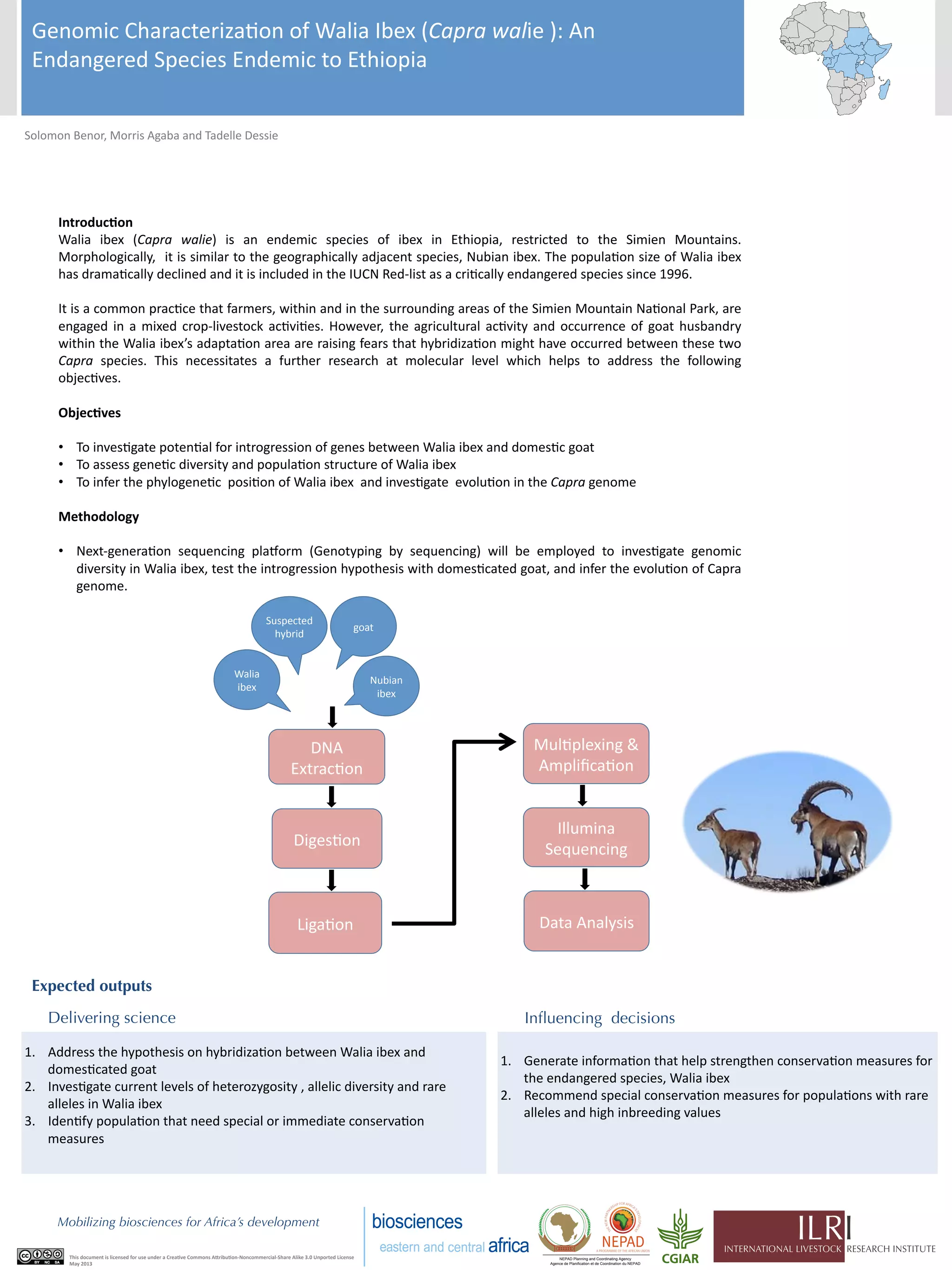 Genomic characterization of Walia Ibex (Capra walie): An endangered ...