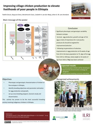 Improving village chicken production to elevate livelihoods of poor ...