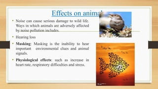 Noise Pollution | PPT