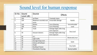 Noise Pollution | PPT