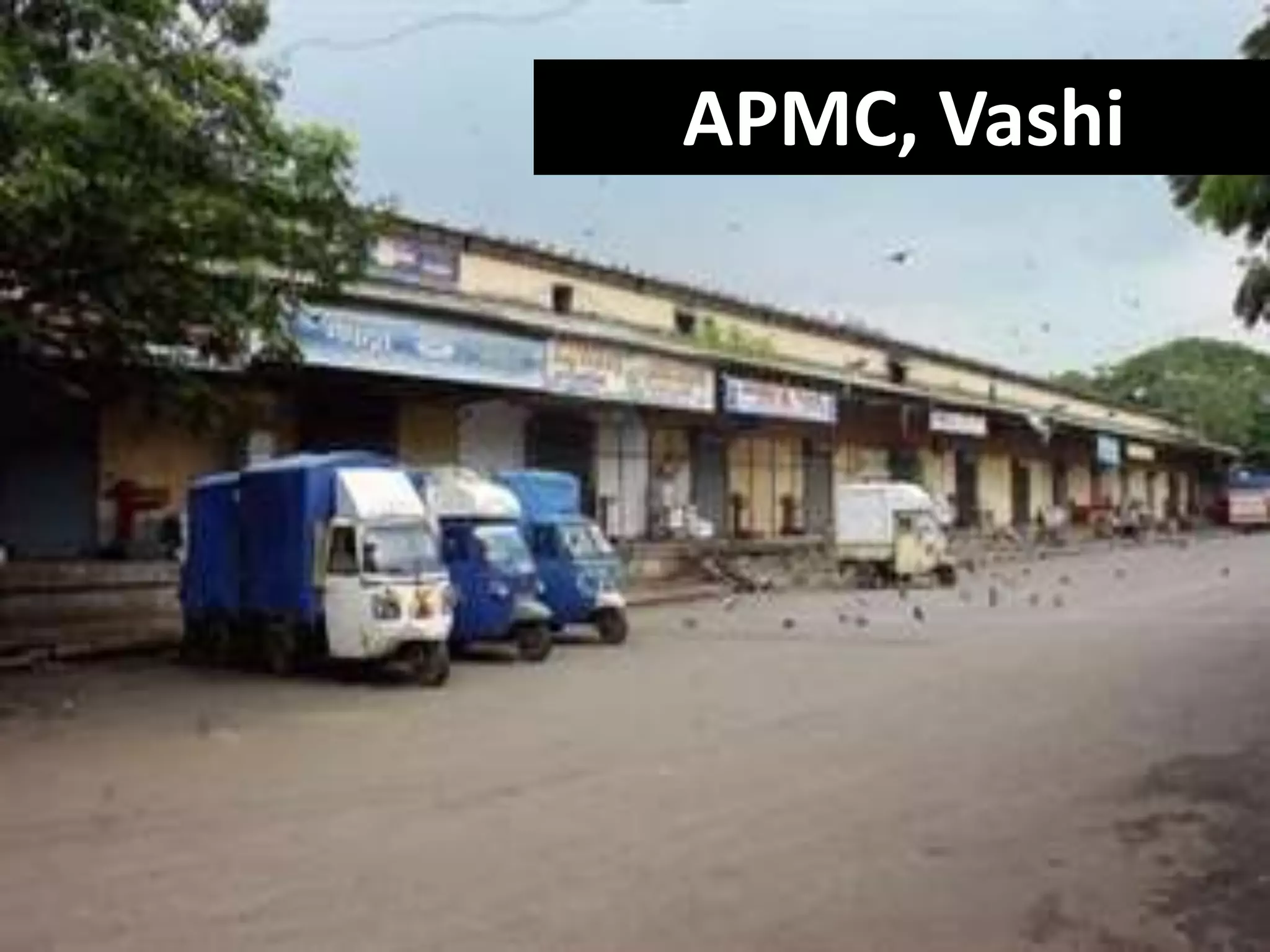 APMC (Agricultural produce market committee) Market Report | PPTX