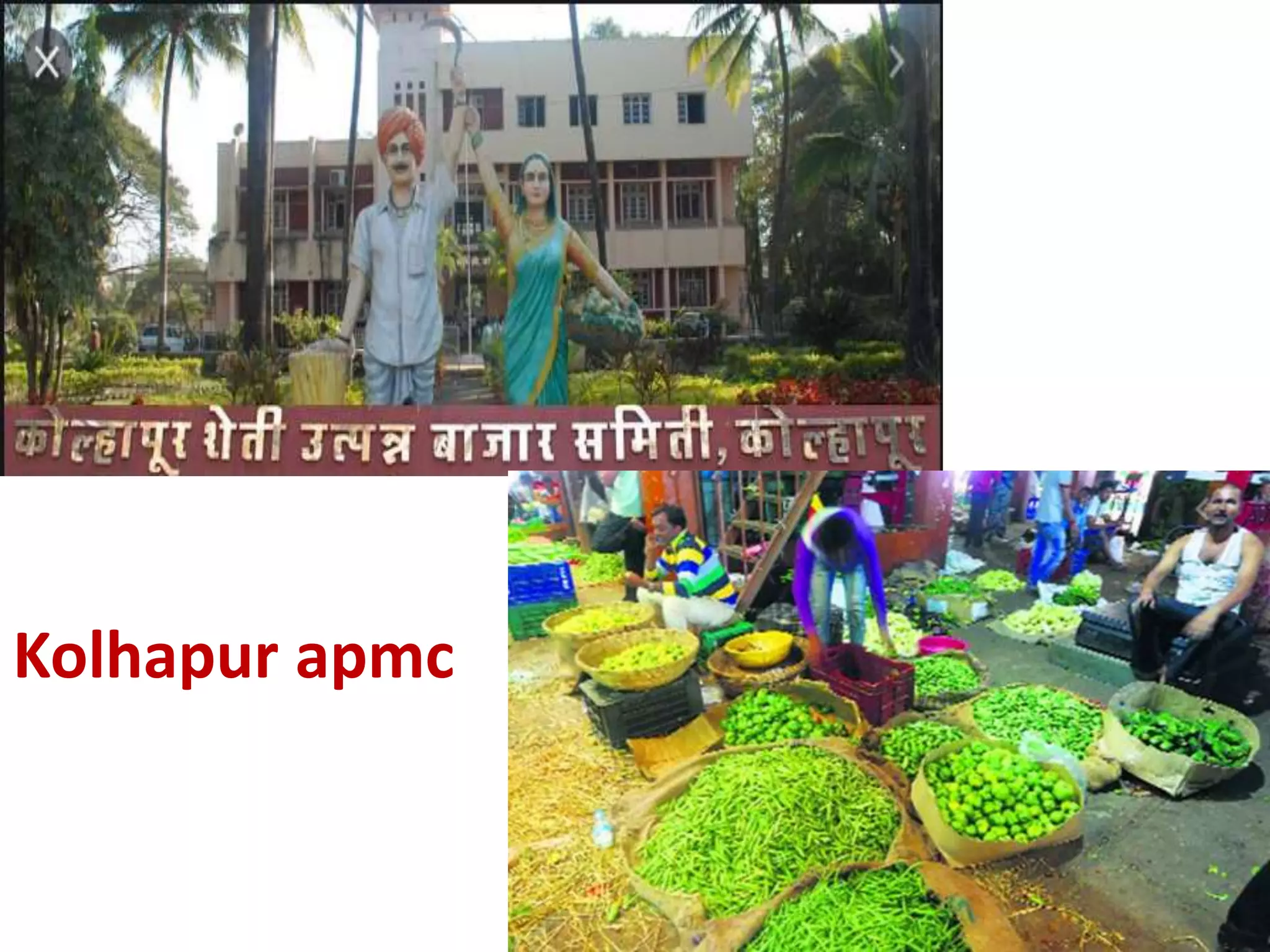 UTILIZATION OF APMC MARKET FRUITS AND VEGETABLE WASTES FOR FOOD, FEED ...