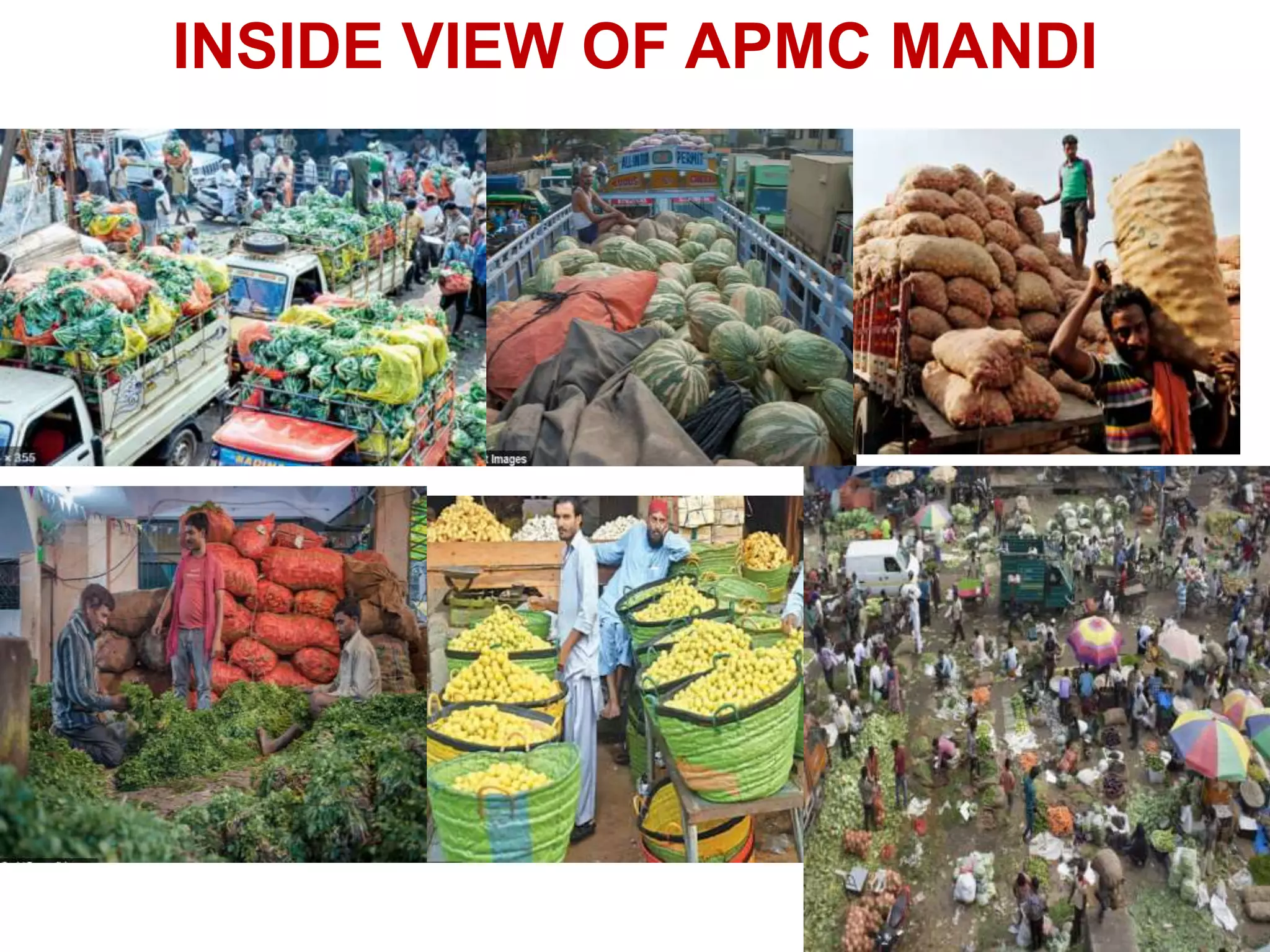 UTILIZATION OF APMC MARKET FRUITS AND VEGETABLE WASTES FOR FOOD, FEED ...