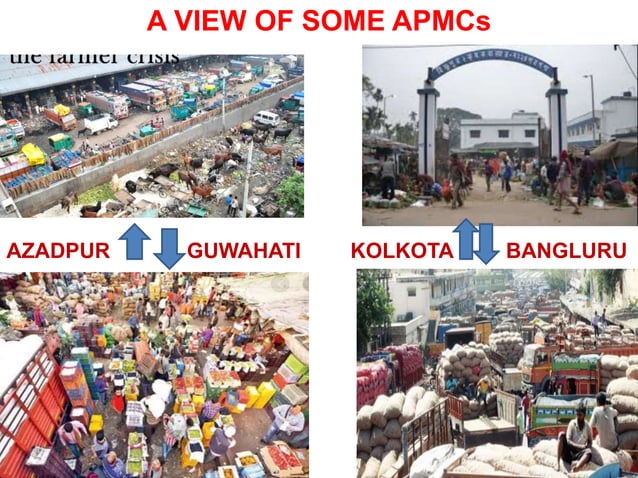 UTILIZATION OF APMC MARKET FRUITS AND VEGETABLE WASTES FOR FOOD, FEED ...