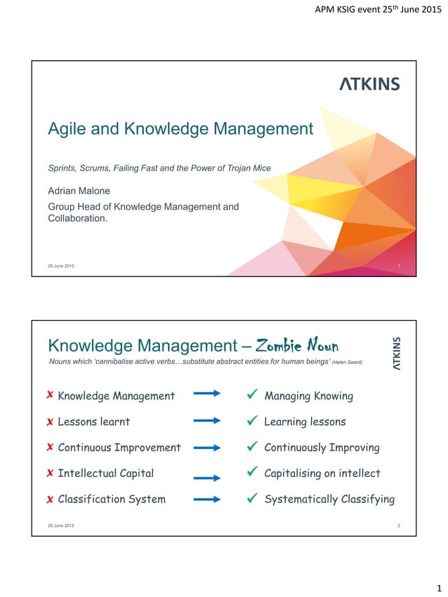 APM Knowledge SIG case study: Adrian Malone | PDF