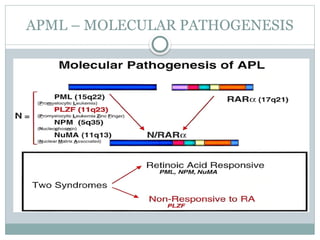 Acute Promyelocytic Leukemia (APML) .pptx