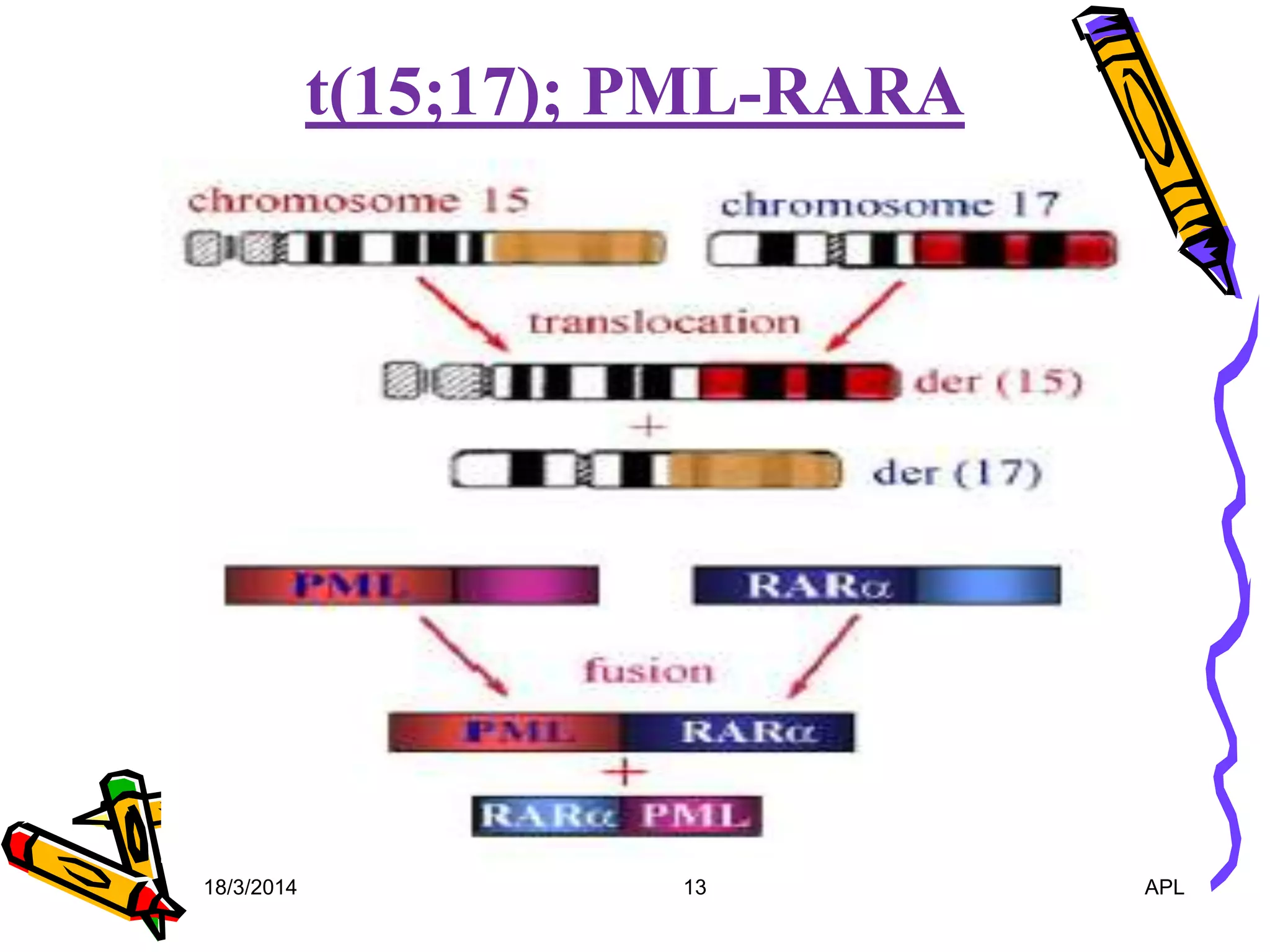 Acute Promyelocytic Leukaemia | PPTX