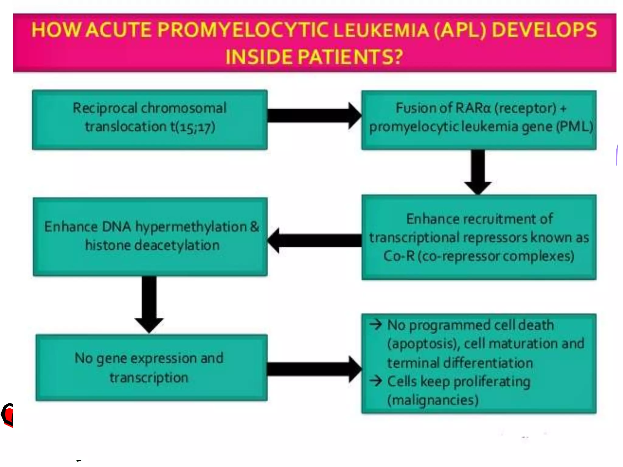 Acute Promyelocytic Leukaemia | PPTX