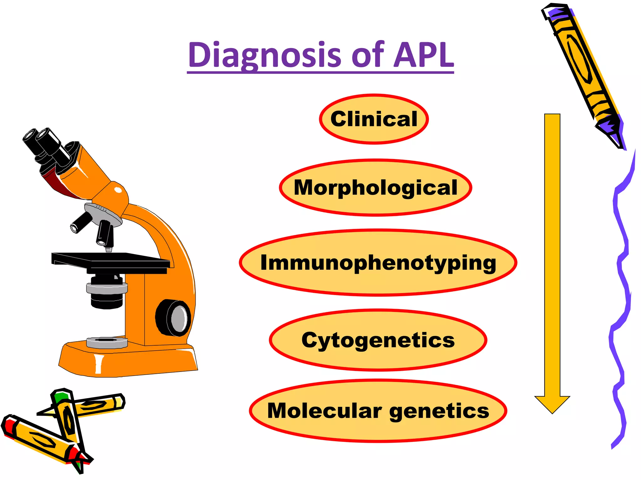 Acute Promyelocytic Leukaemia | PPTX