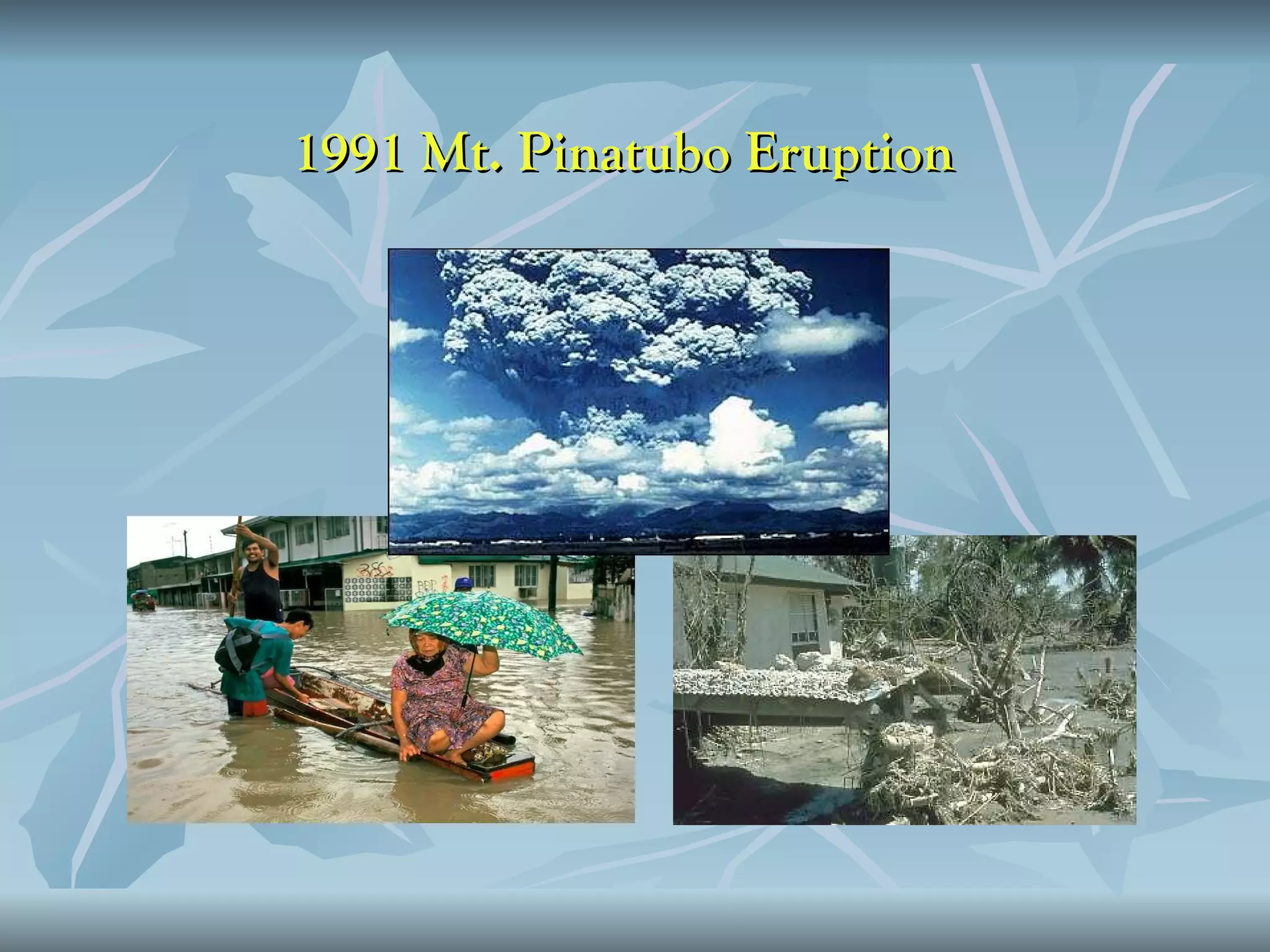 Apung Monica de Minalin Multi-Purpose Cooperative Profile | PPT