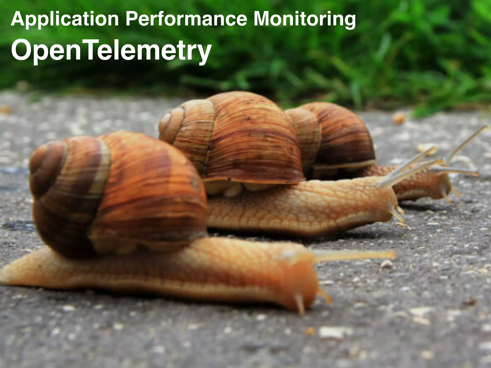 Application Performance Monitoring with OpenTelemetry | PPT