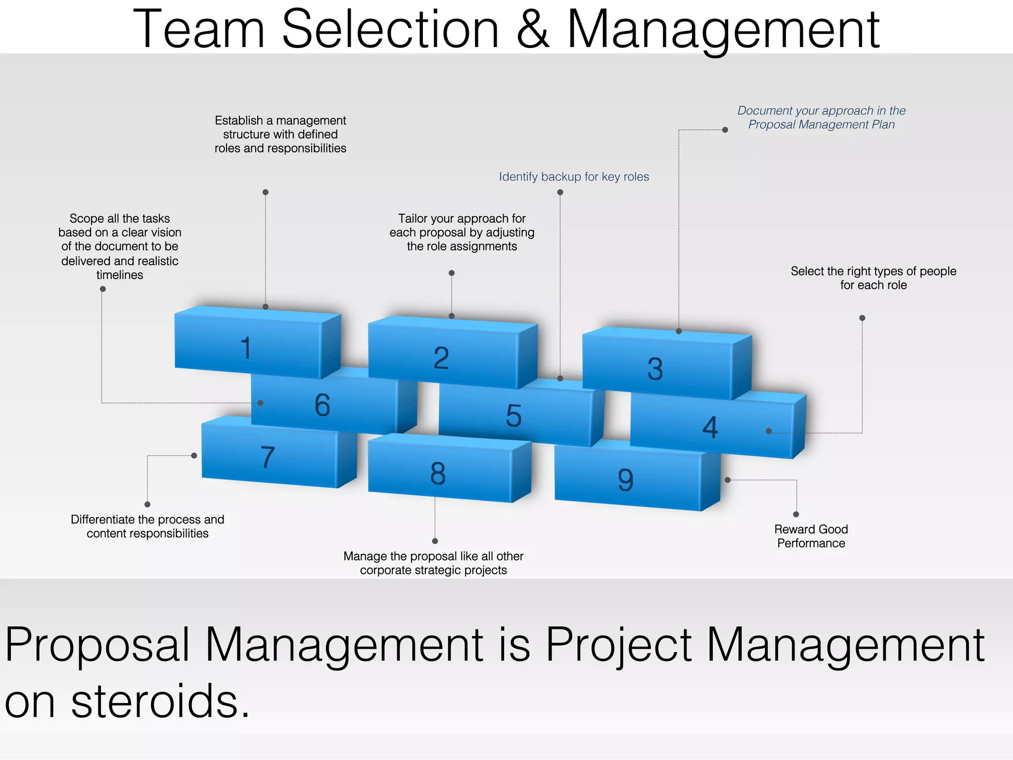 APMP Foundation Study Group Session 5 - Proposal Management | PDF
