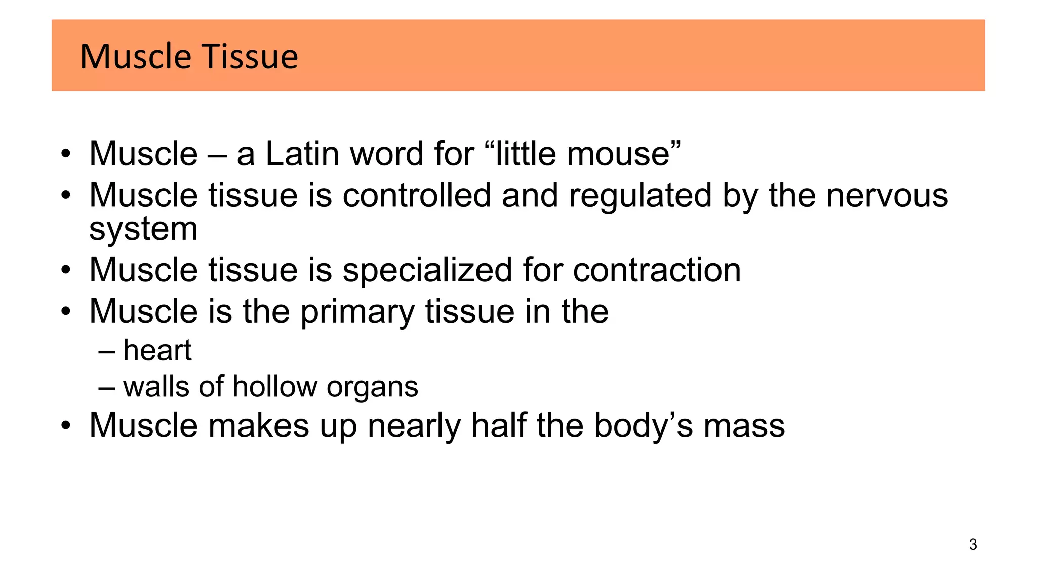 A&P Muscle Tissue PPT | PPT