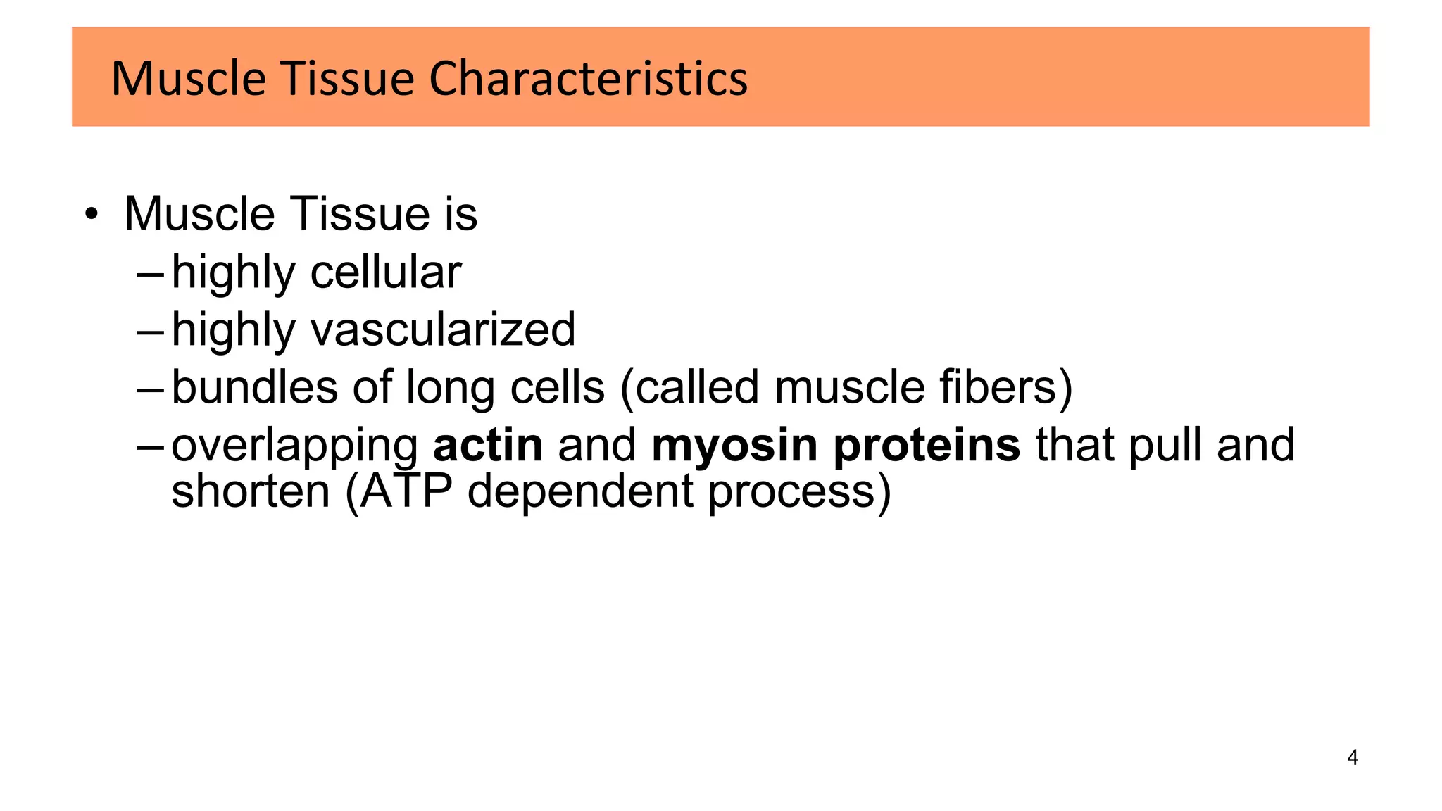A&P Muscle Tissue PPT | PPT
