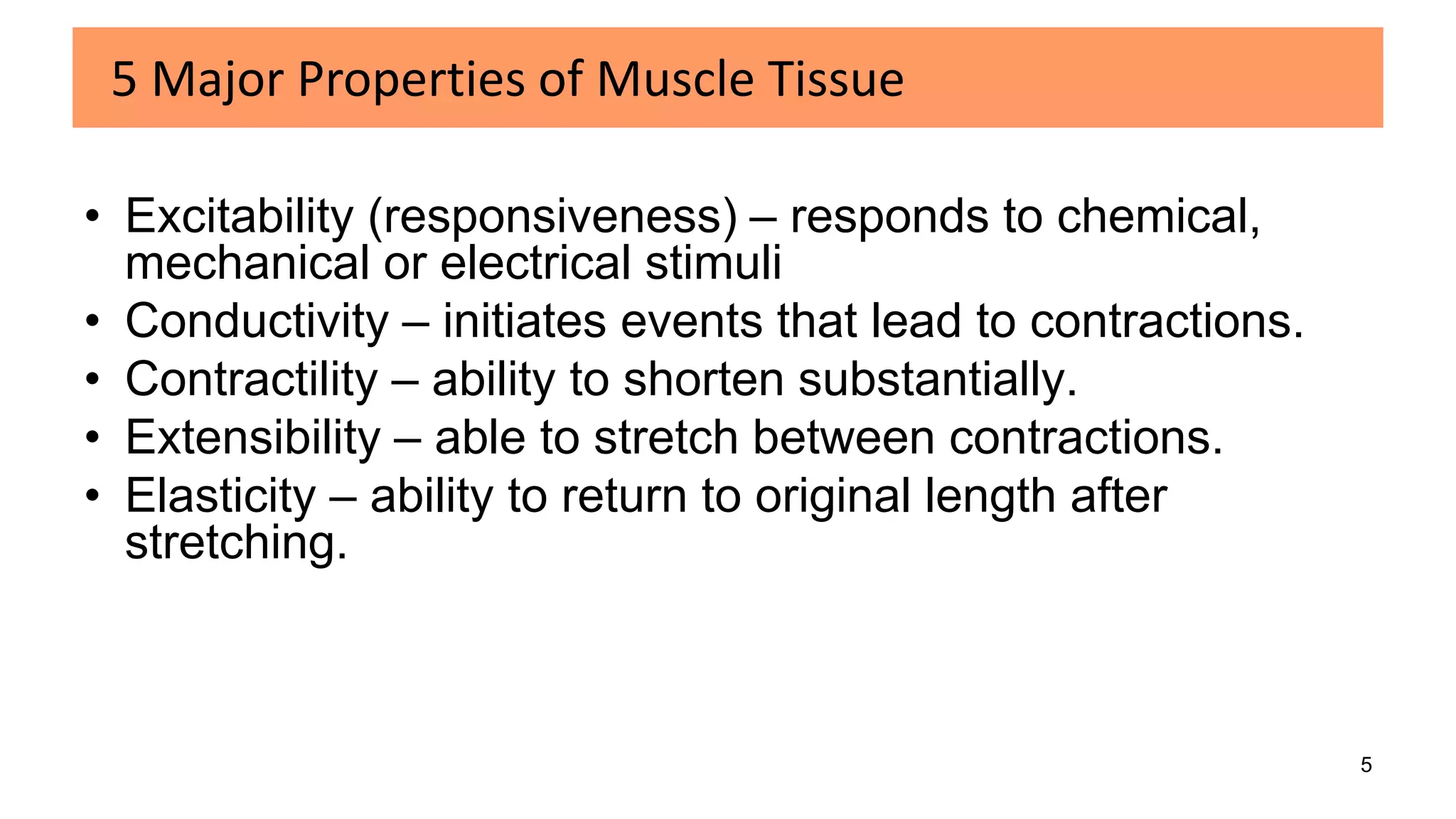 A&P Muscle Tissue PPT | PPT