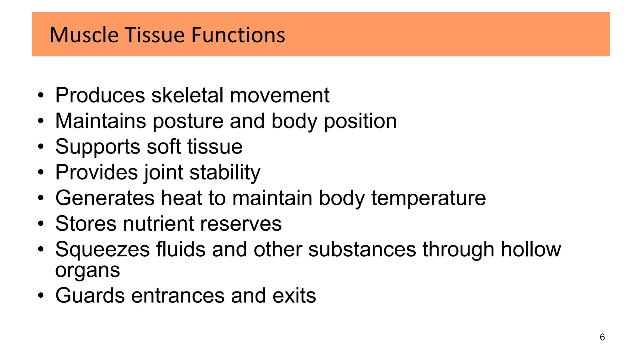 A&P Muscle Tissue PPT | PPT