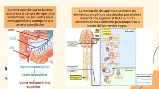 Apéndice (1).pptx GASTROENTEROLOGÍA-CIRUGIA | PPTX