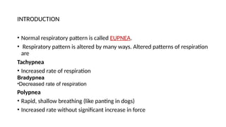 APNEA - Understanding Apnea and its Physiology. | PPTX
