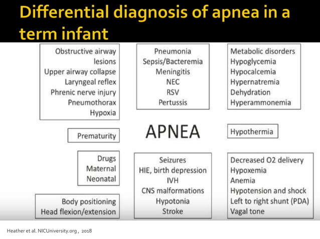 Apnea of prematurity | PPTX | Ear, Nose and Throat Conditions ...