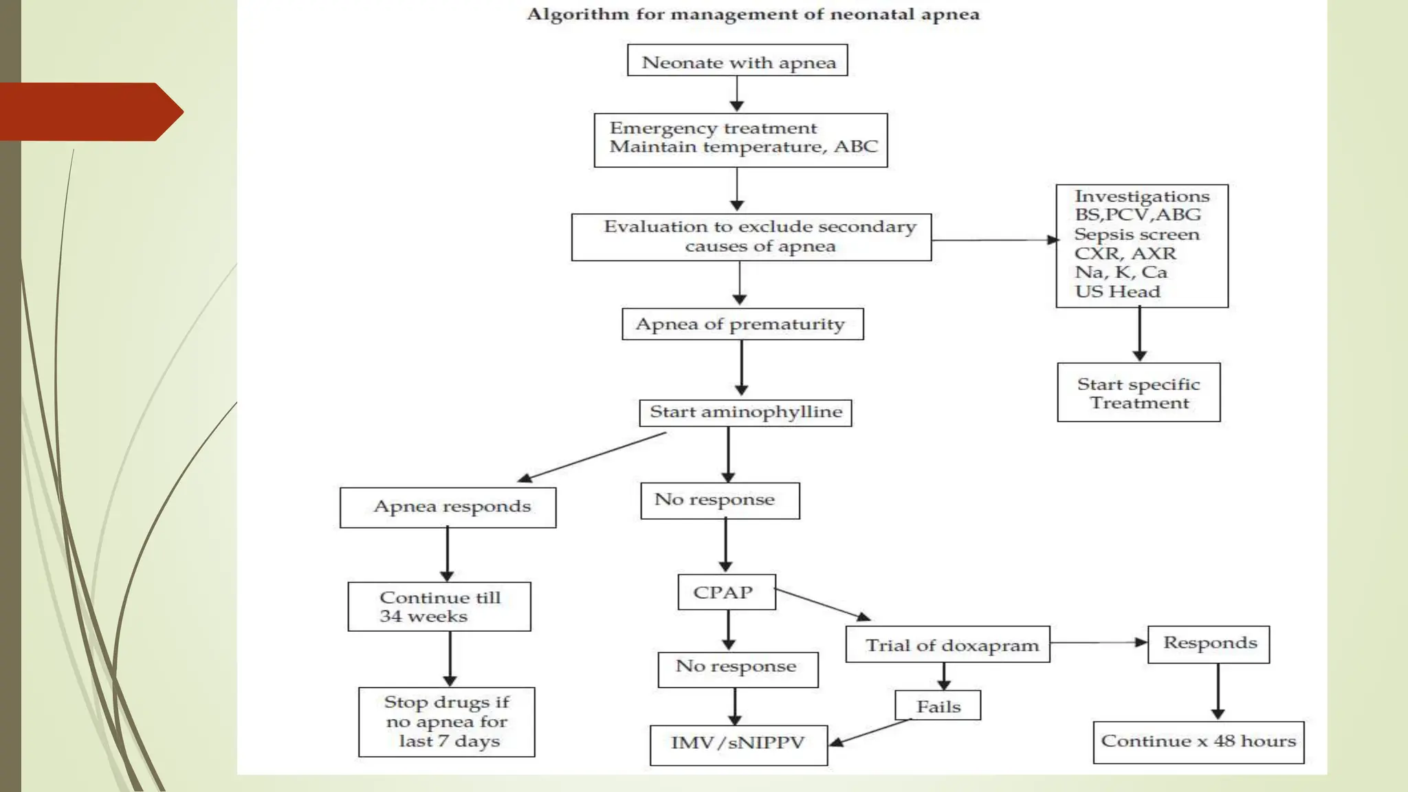 Apnea of prematurity.pptx important topic | PPTX