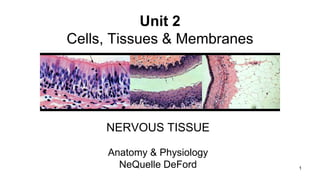 A&P Nervous Tissue PPT | PPTX