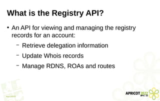 APNIC registry API 2022 | PPT