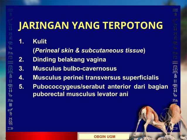 APN_Penjahitan_laserasi_and_episiotomi.ppt