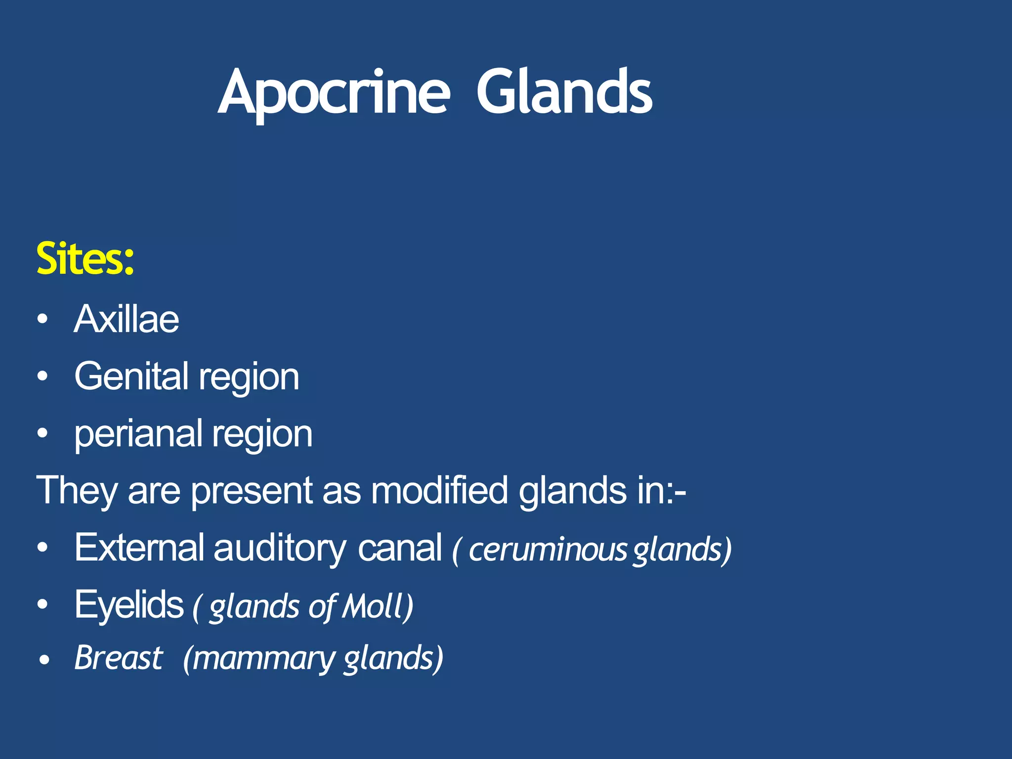 Apocrine and eccrine glands