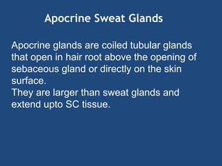 Apocrine and eccrine glands | PPTX