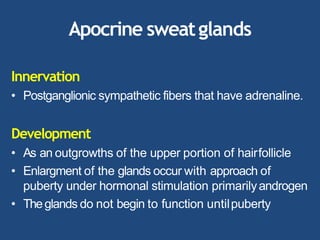 Apocrine and eccrine glands | PPTX | Skin and Dermatology | Diseases ...