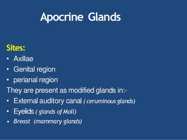 Apocrine and eccrine glands