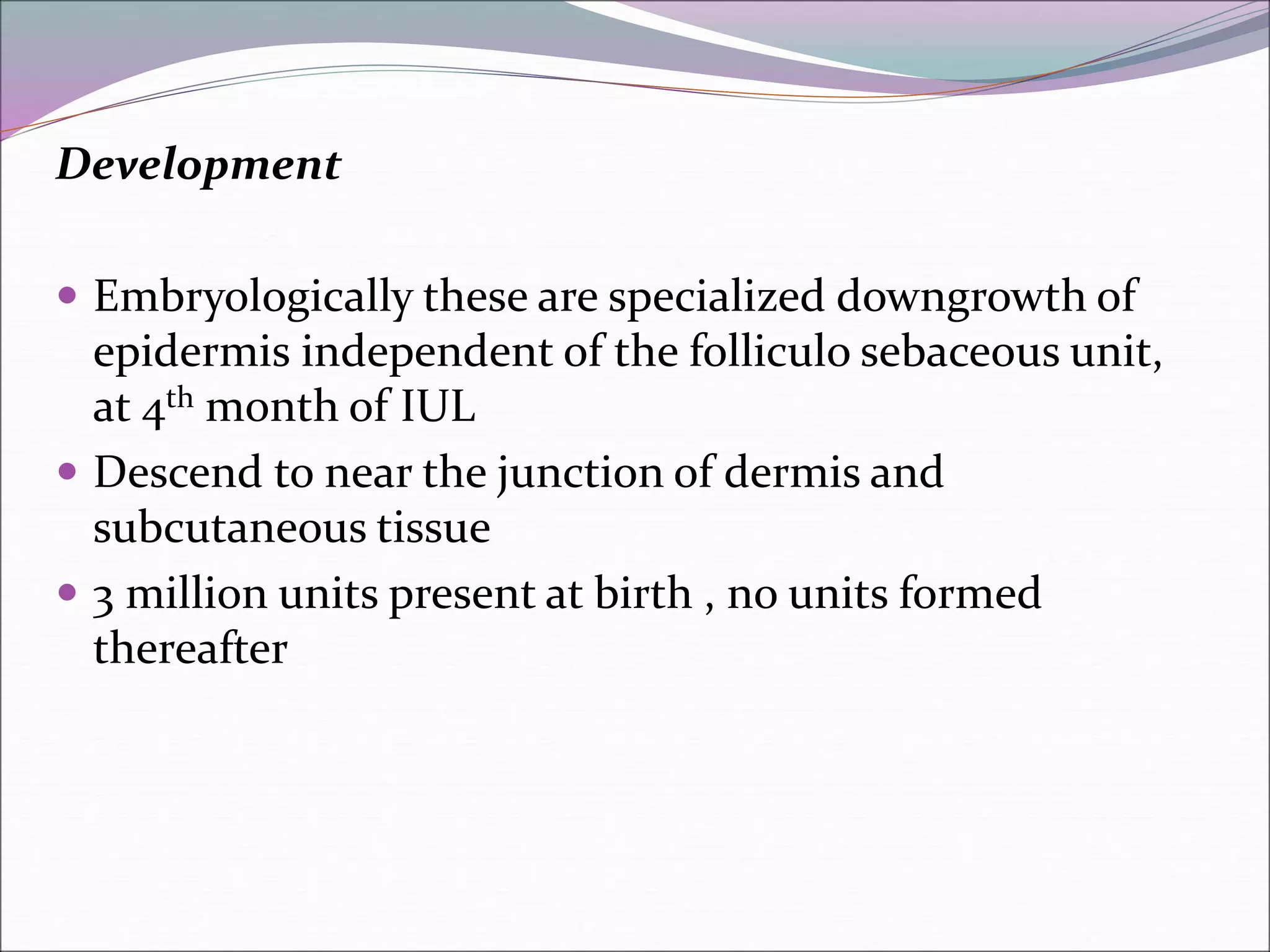Apocrine and eccrine glands | PPT