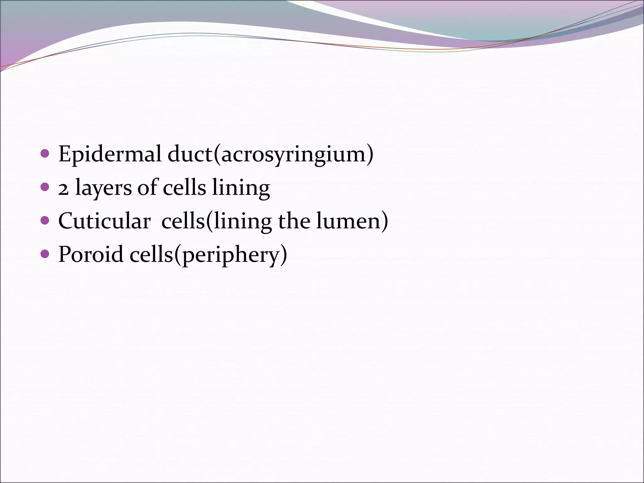 Apocrine and eccrine glands | PPT