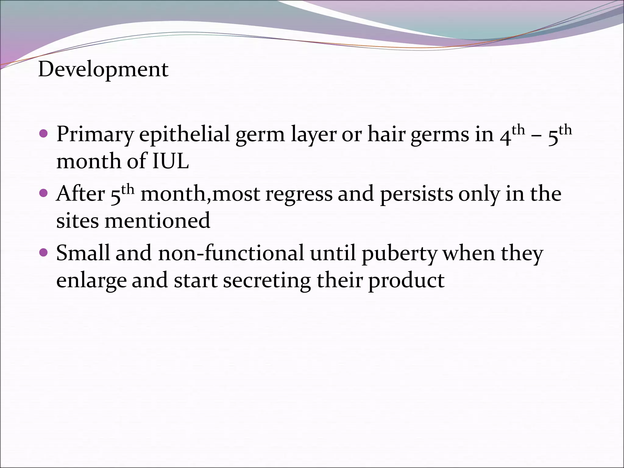 Apocrine and eccrine glands | PPT