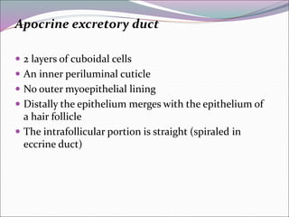 Apocrine and eccrine glands | PPT