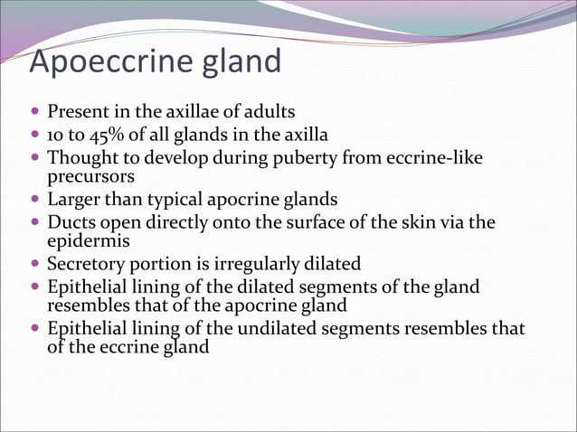Apocrine and eccrine glands | PPT | Skin and Dermatology | Diseases and ...