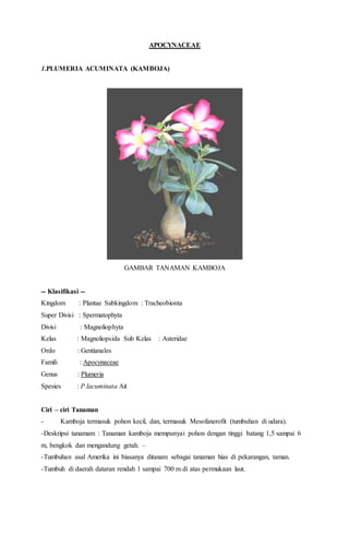 Apocynacea1.. | PDF