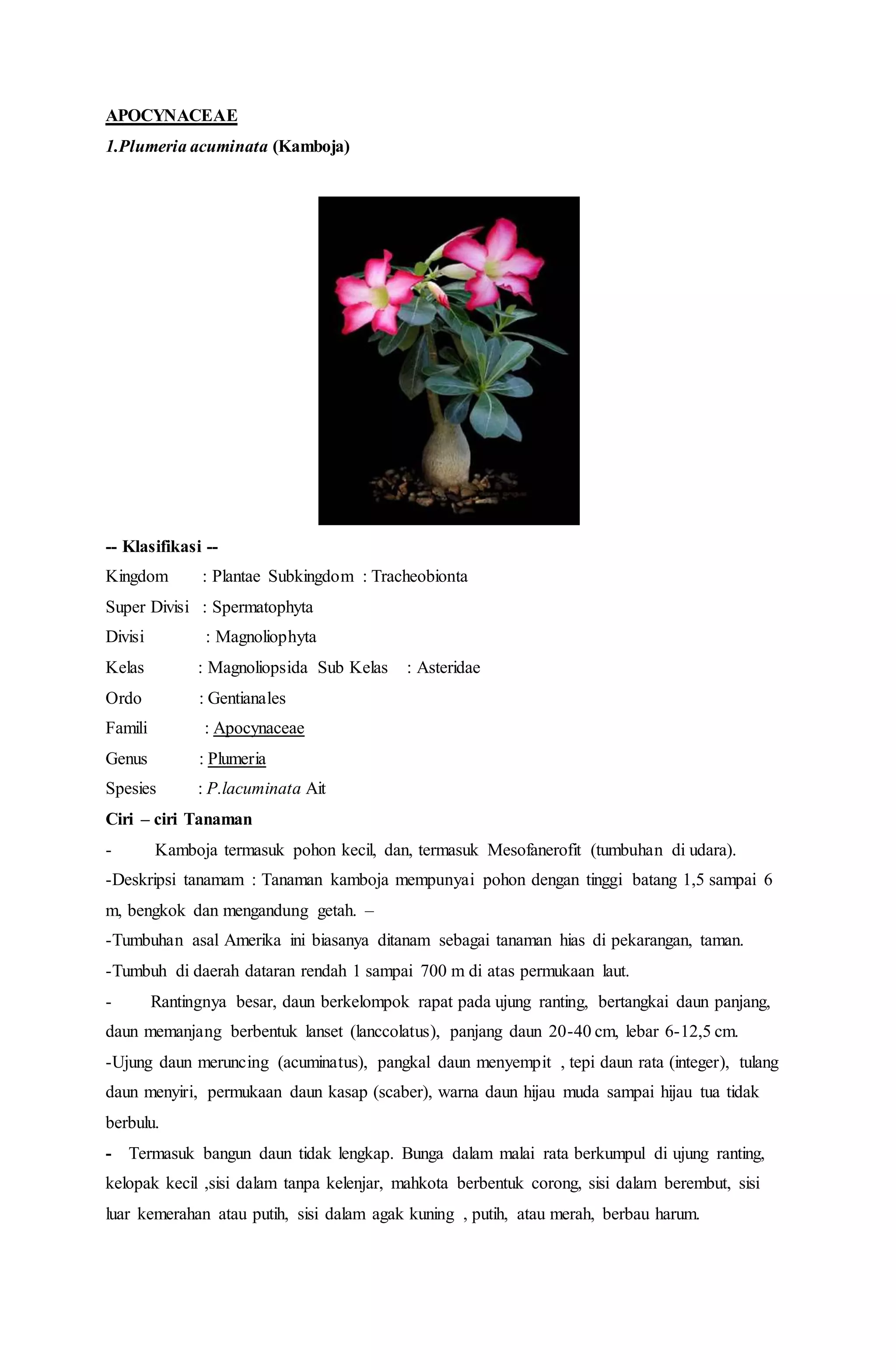 Apocynaceae | DOCX