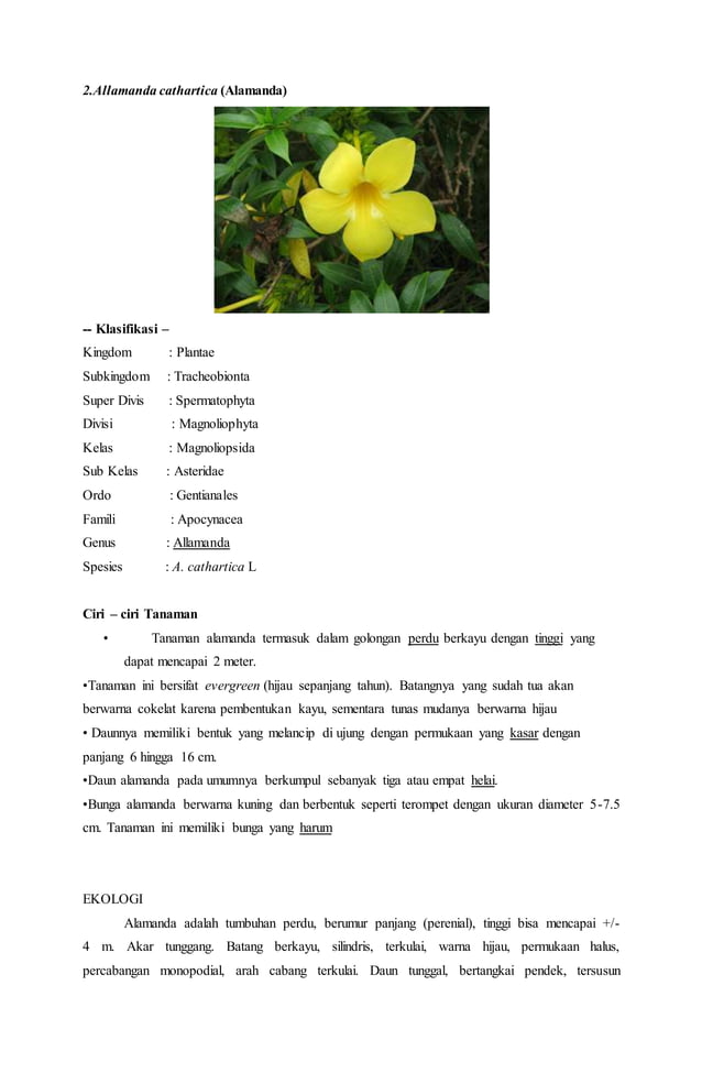 Apocynaceae | PDF
