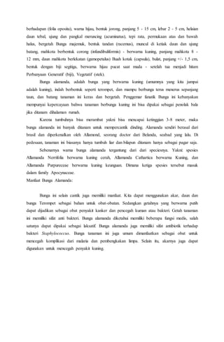 Apocynaceae | DOCX